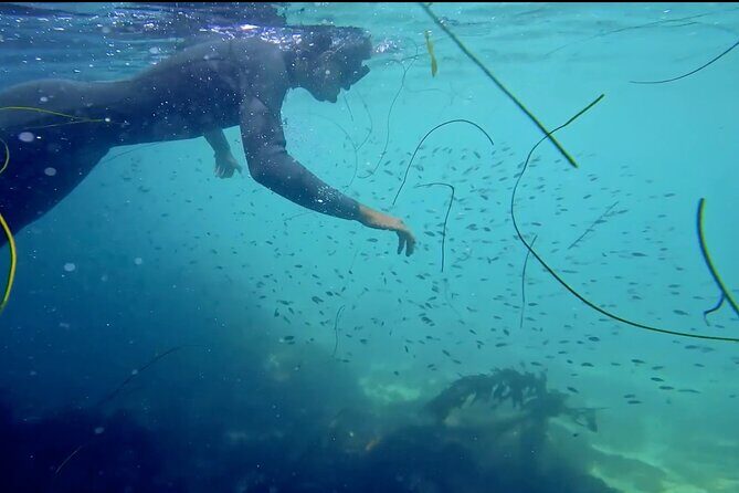 La Jolla Kayak and Snorkel Tour - The Experience in Detail