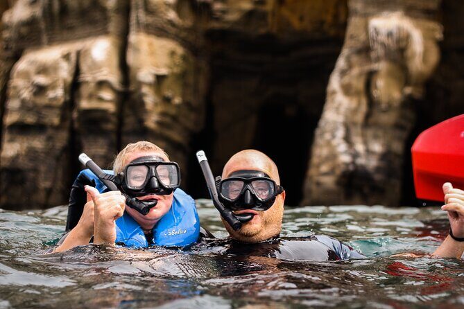 La Jolla Kayak and Snorkel Tour - Is This Tour Worth the Price?