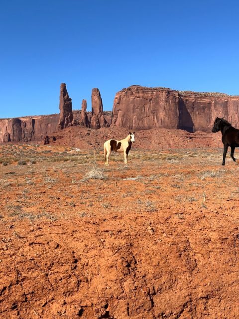 LA: Las Vegas, Sedona, Monument, Antelope Canyon, 5-Day Tour - Authentic Insights from Reviews