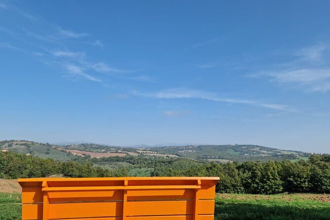 La Maliosa Farm Experience & Wine Tasting - Exploring the Itinerary in Detail