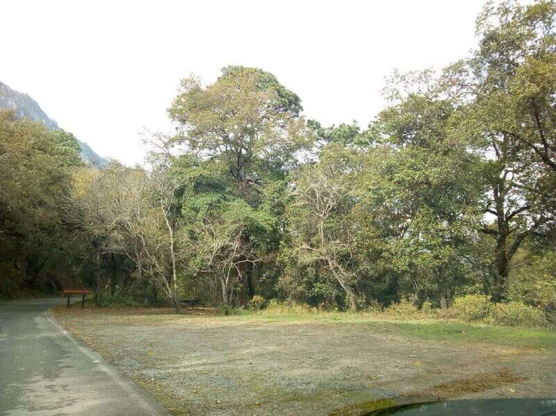 La mejor excursión a Chipinque + Guia + Traslado + Tickets - Why This Tour Is Worth It