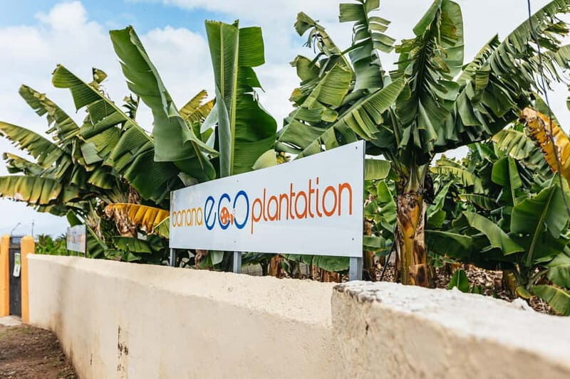 La Orotava: Eco Banana Plantation Tour with Banana Liquor - Why This Tour Works