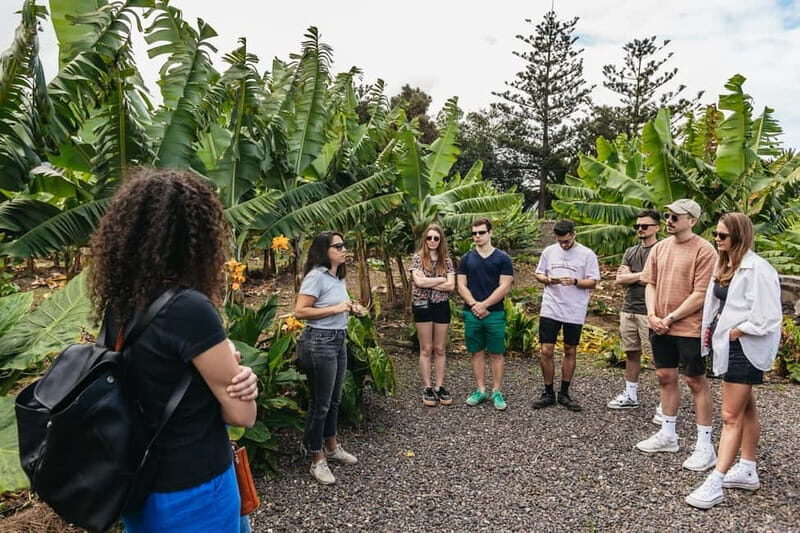 La Orotava: Eco Banana Plantation Tour with Banana Liquor - Frequently Asked Questions (FAQ)