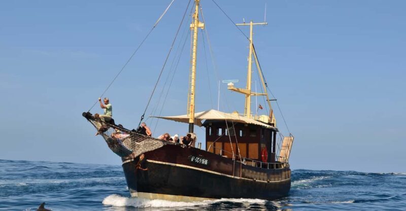 La Palma: 4-Hour Coastline Cruise with Tapas and Barbecue - Practical Details: What to Know Before Booking