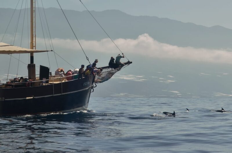 La Palma: 4-Hour Coastline Cruise with Tapas and Barbecue - Who Should Consider This Tour?
