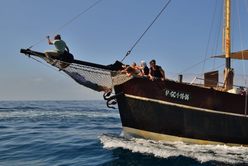 La Palma: 4-Hour Coastline Cruise with Tapas and Barbecue - Final Thoughts: Is This Tour Worth It?