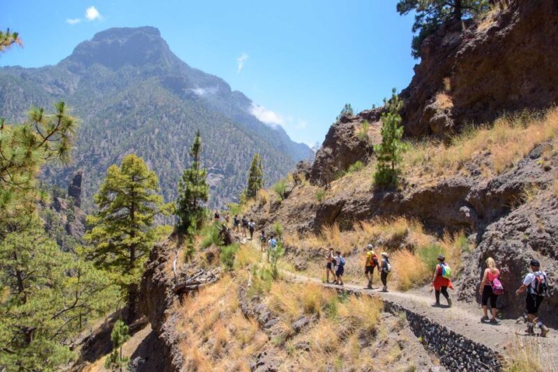 La Palma: Caldera de Taburiente National Park Guided Hike - Exploring La Palma’s Caldera de Taburiente: A Detailed Guided Hike Review