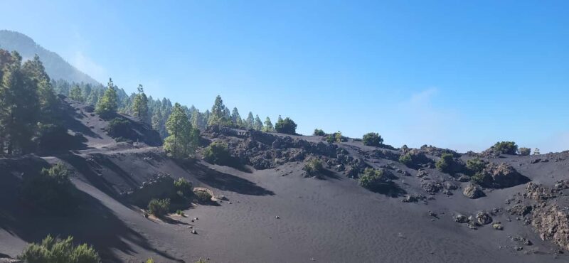 La Palma: E-bike tour with Komoot - Key Points
