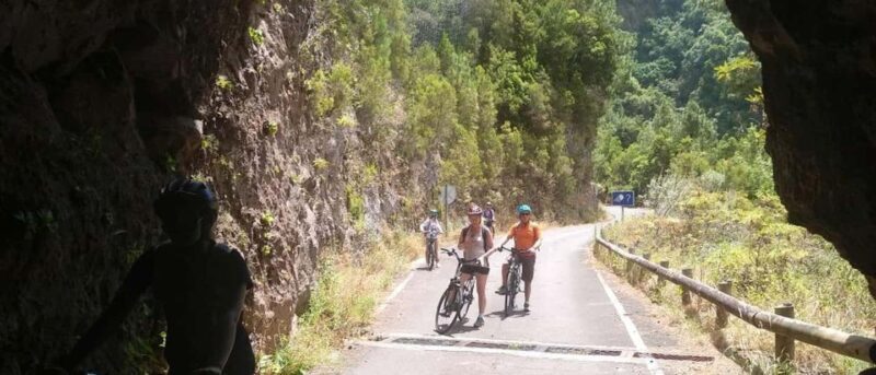 La Palma: Guided e-bike tour (trekking) - Key Points