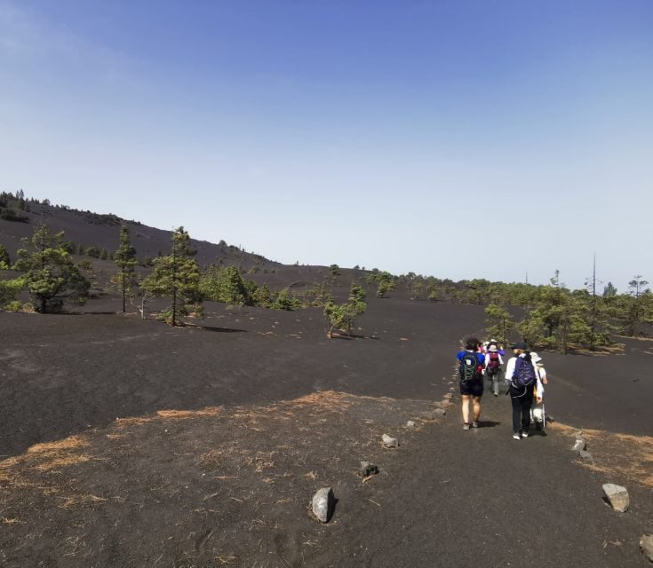 La Palma: Guided Tour to Tajogaite Volcano with Transfer - La Palma: Guided Tour to Tajogaite Volcano with Transfer — An In-Depth Review
