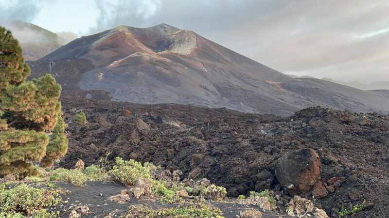 La Palma: Guided Tour to Tajogaite Volcano with Transfer - Final Thoughts