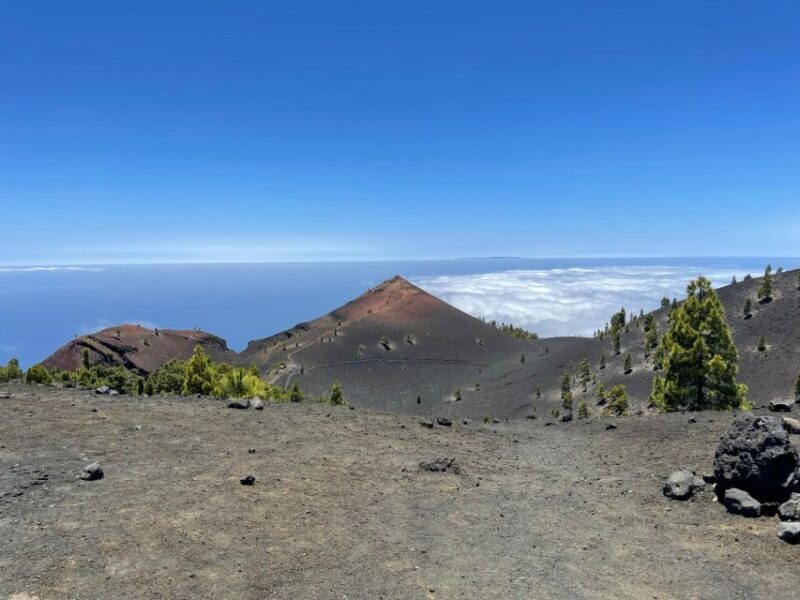 La Palma: Guided trekking tour to volcanoes south - Key Points