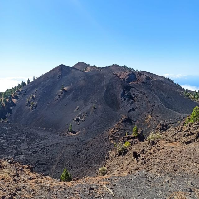 La Palma: Guided trekking tour to volcanoes south - An In-Depth Look at the La Palma Volcanoes Trek