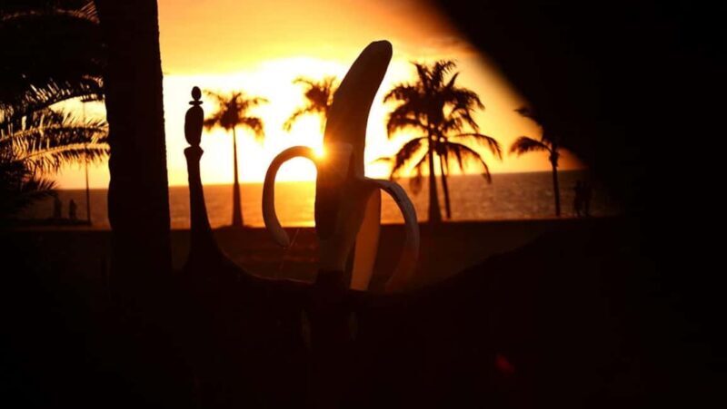 La Palma: PlatanoLógico Edible Forest Tour - A Closer Look at the Tour Itinerary