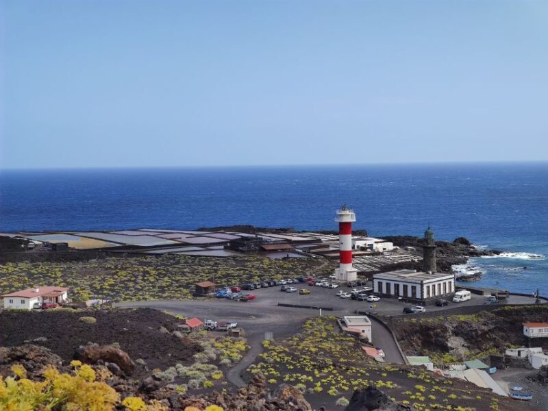 La Palma: San Antonio and Teneguia Volcanos Tour by 4x4 Bus - Key Points