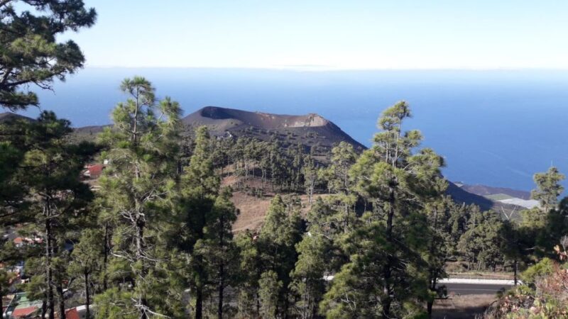 La Palma: San Antonio and Teneguia Volcanos Tour by 4x4 Bus - The Sum Up