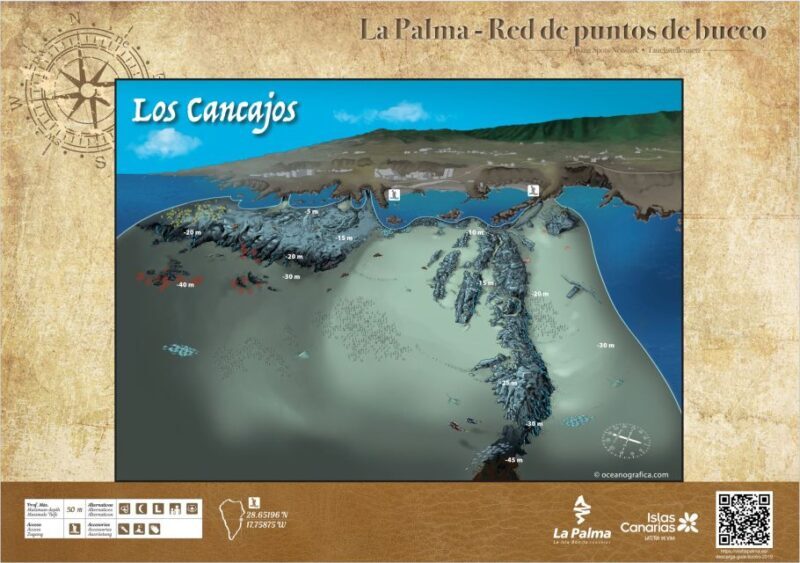 La Palma : Snorkeling Tour in Los Cancajos - Who Will Love This Tour?
