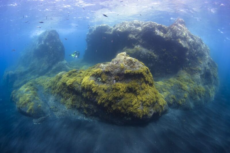 La Palma: SSI Try Scuba Program - Frequently Asked Questions