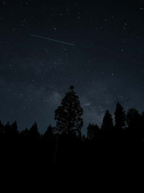 La Palma: Stargazing in the best sky in the world - Exploring La Palma’s Night Sky: What to Expect