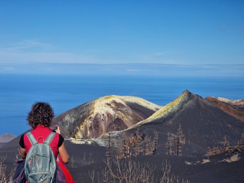 La Palma: Tajogaite Volcano Guided Trek - Key Points