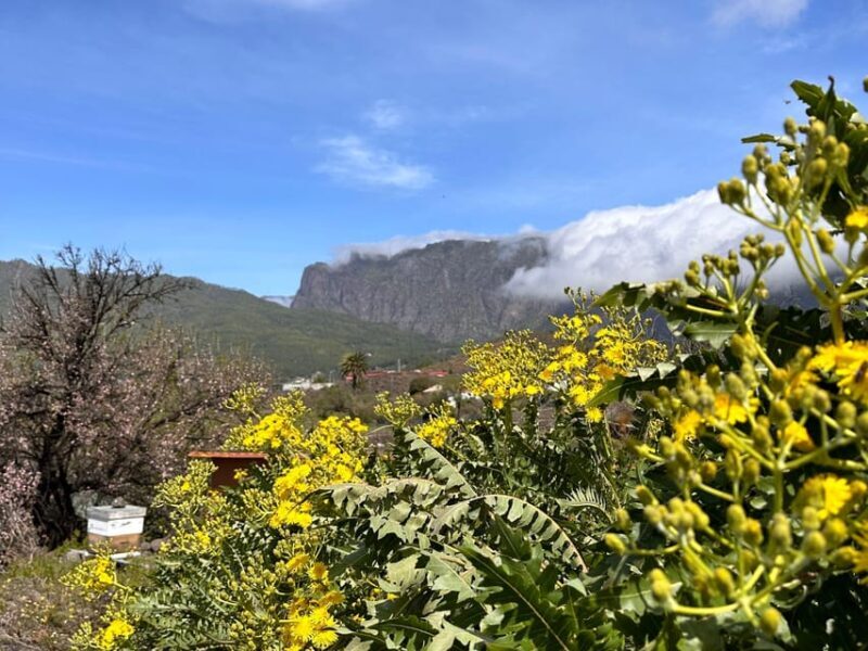 La Palma : Tour of an ecological farm w/ animals & tasting - The Sum Up