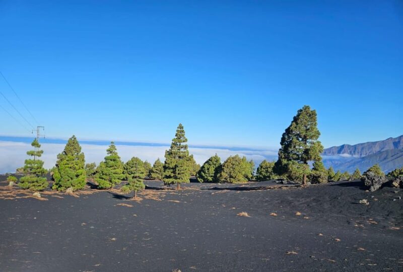 La Palma: Tour to the new Tajogaite volcano 360º. - An In-Depth Look at the Tajogaite Volcano 360º Tour  