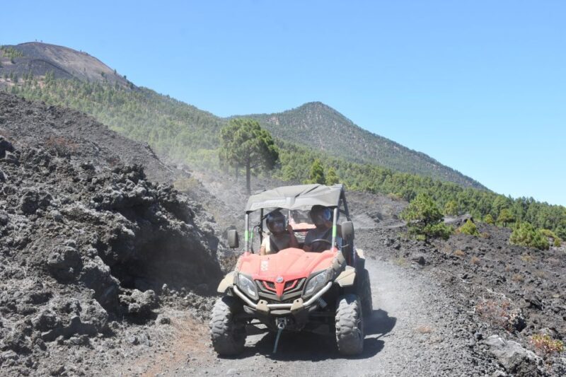 La Palma: Volcano Route Buggy Tour (Price Per Vehicle) 2 PAX - A Closer Look at the Volcano Route Buggy Tour