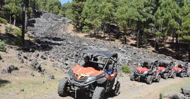 La Palma: Volcano Route Buggy Tour (Price Per Vehicle) 2 PAX - Final Thoughts