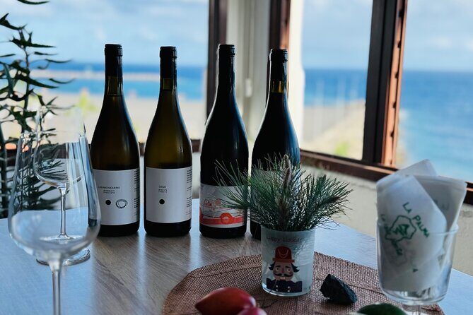 La Palma Wines Panorama 360 Wine Tasting - Breaking Down the Itinerary