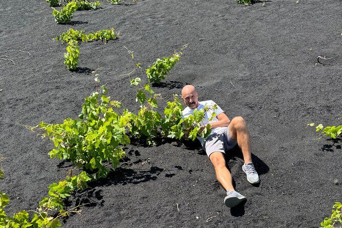 La Palma Wines Panorama 360 Wine Tasting - FAQ