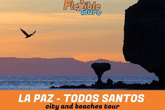 La Paz and Todos Santos City and Beaches Tour - Value and Price Considerations