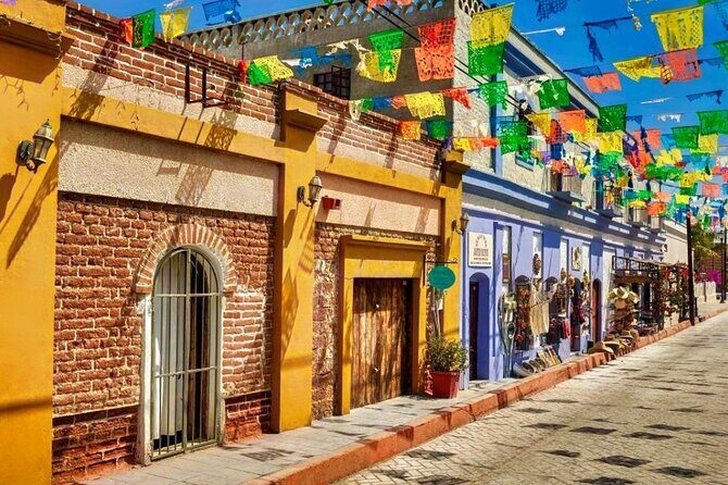 La Paz and Todos Santos Day Trip with Lunch - Introduction to the Tour Experience