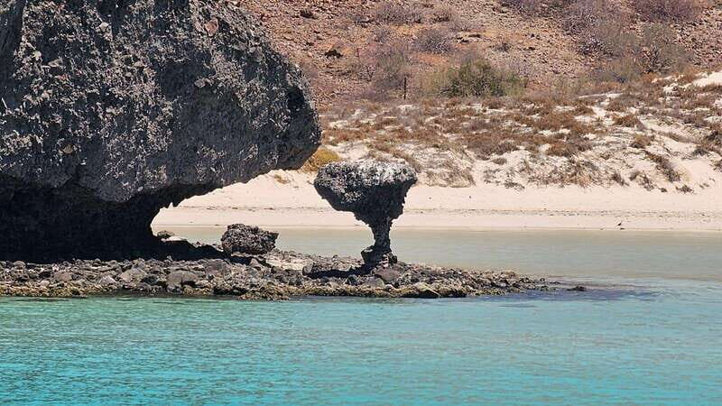 La Paz: Balandra Beach Luxury Yacht Charter Cruise - Key Points