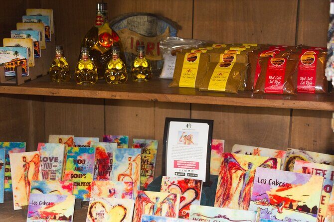 La Paz City Tour - Meal and Beach Time