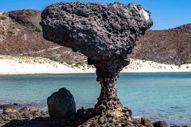 La Paz City Tour from Cabo - Frequently Asked Questions