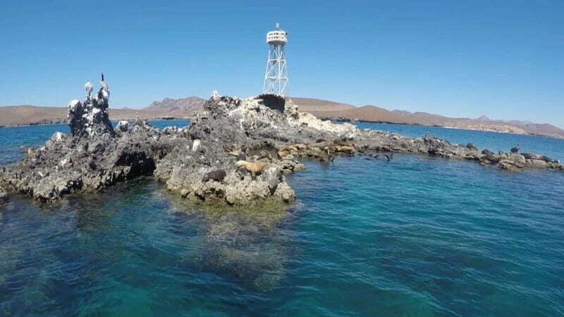 La Paz: Day Cruise & Snorkelling (w/sea lions) Food & Drinks - FAQs