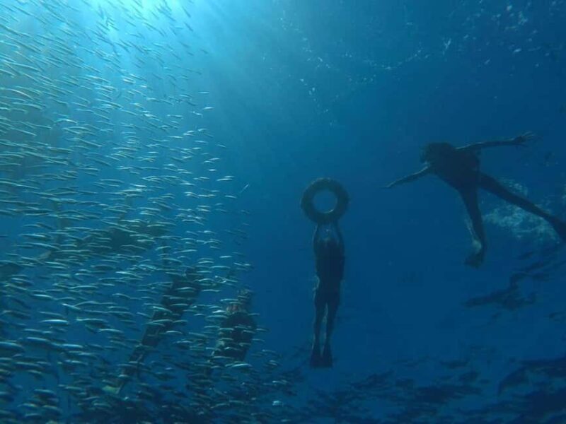 La Paz: Espíritu Santo Island Snorkeling Tour with Lunch - Key Points