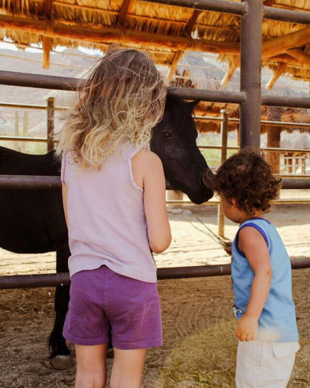 La Paz: Horseback Riding - FAQ