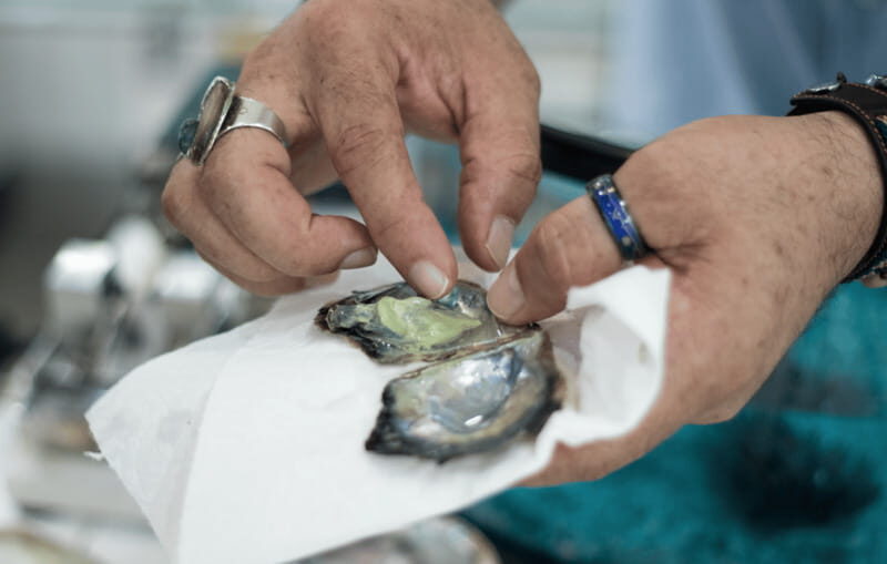 La Paz Jewels - FAQs