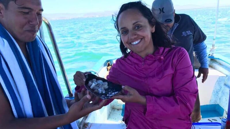 La Paz: Mangrove Adventure, Snorkeling and Shellfish Tasting - Why This Tour Stands Out