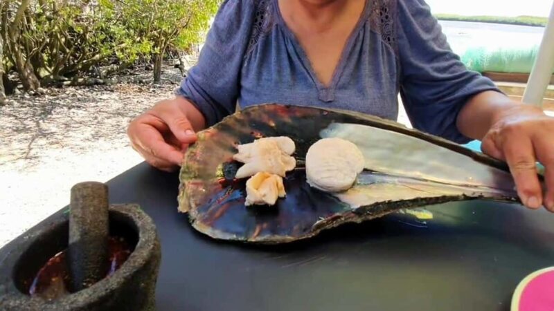 La Paz: Mangrove Adventure, Snorkeling and Shellfish Tasting - What To Expect in Detail