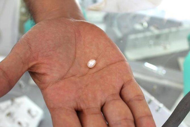 La Paz Paradise: Balandra & beyond - Exploring La Paz Paradise: Balandra & Beyond in Detail