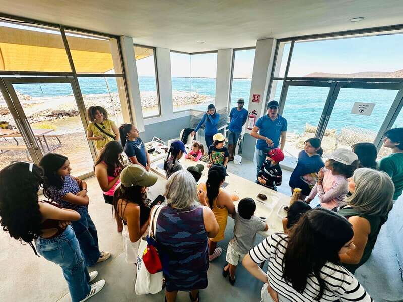 La Paz: Pearl Farm Experience and shop - Key Points