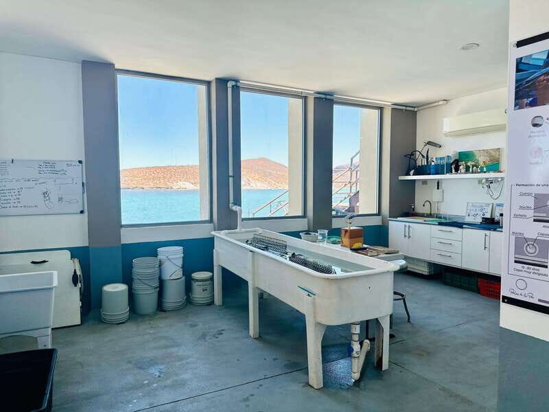 La Paz: Pearl Farm Experience and shop - Frequently Asked Questions