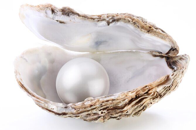 La Paz: Pearl Farm Experience and shop - Who Should Consider This Tour?