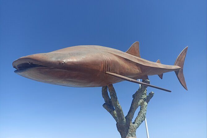 La Paz Private Treasure Hunt - Discovering La Paz with the Treasure Hunt  