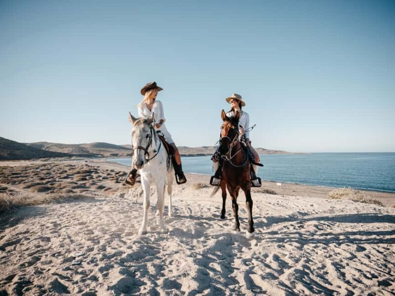 La Paz: Scenic Beach Horseback Ride with Snacks - An In-Depth Look at the Experience