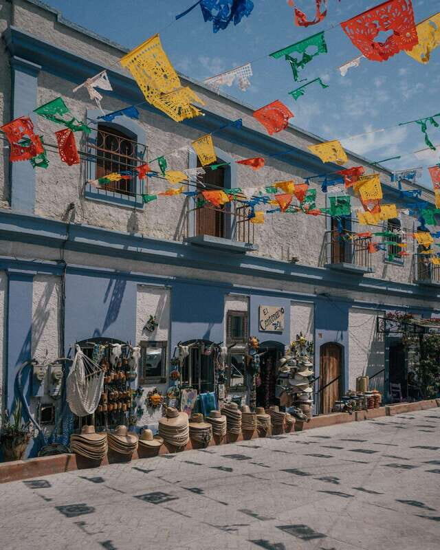 La Paz: Todos Santos Day Trip - Who Should Consider This Tour?