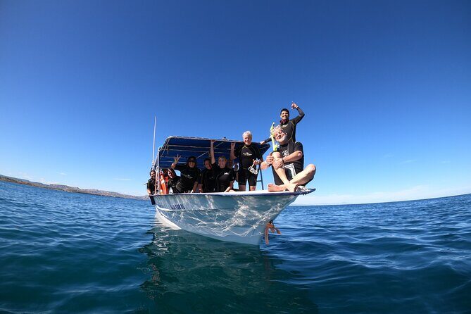 La Paz Whale Shark Snorkeling Tour and Lunch From Los Cabos - FAQ