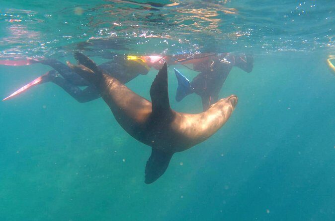La Paz Wildlife Ocean Safari & Beach Club Leisure in La Ventana - Relaxing on Board & Coastal Stops